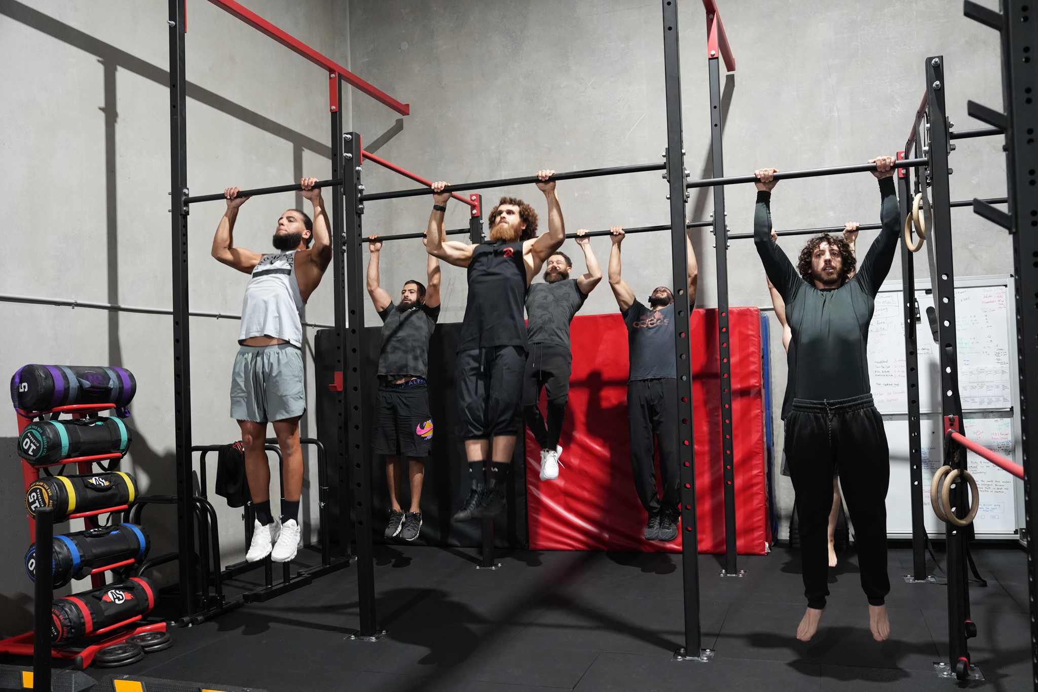 ARTOC Family – The Calisthenics Studio